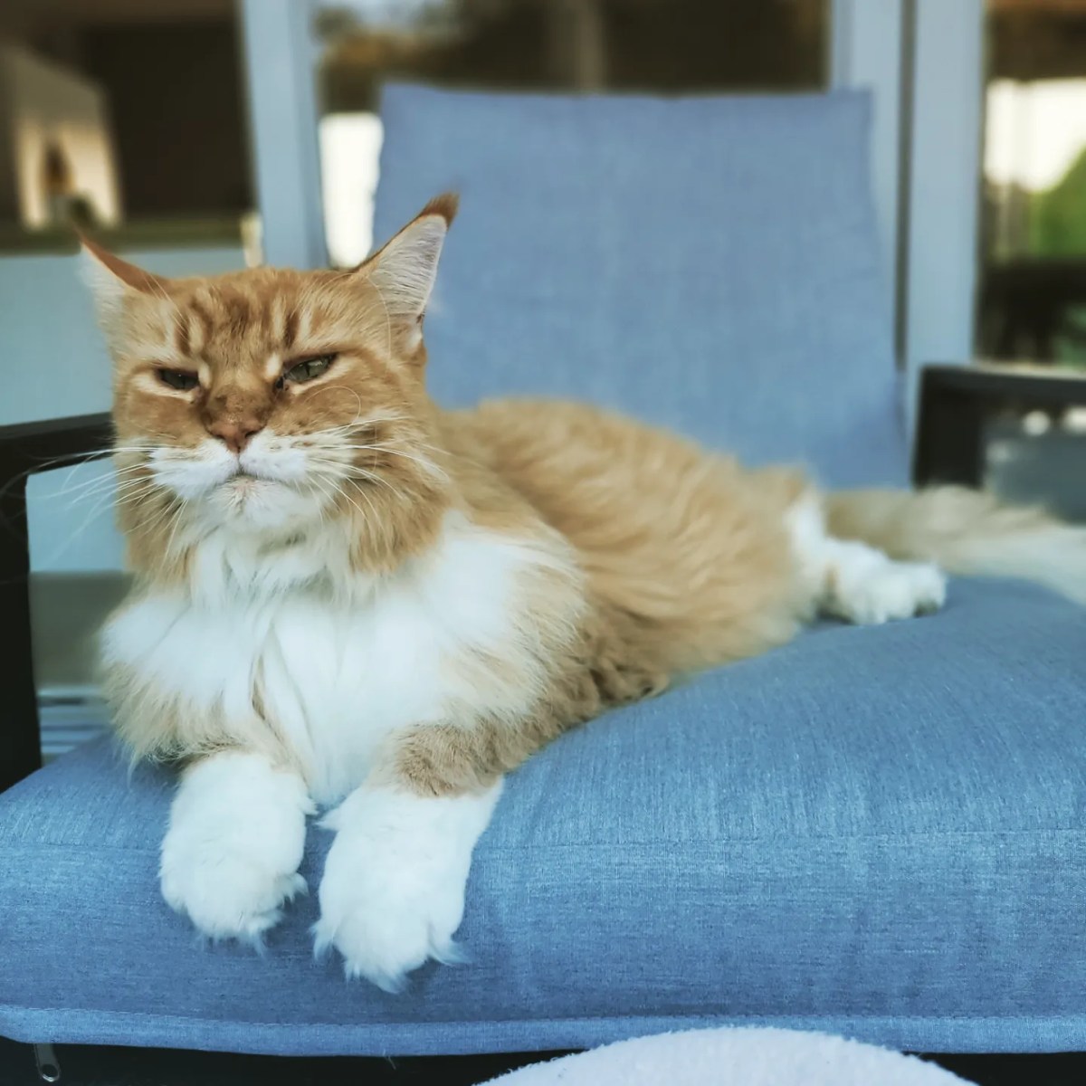 Children At Rest – Lord Viking & Princess Wanda